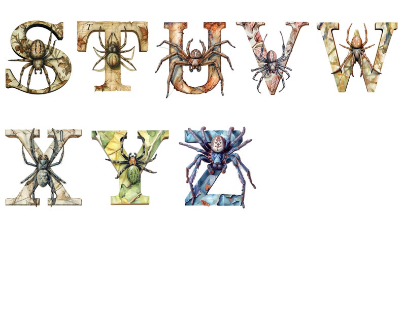 Spider Alphabet, Letters Png, Alphabet Png, Instant Download for ...
