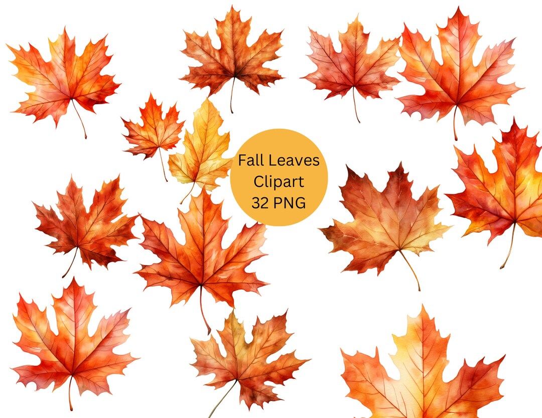 Watercolor Fall Leaves Clipart, Autumn Clipart, PNG Digital Files on ...