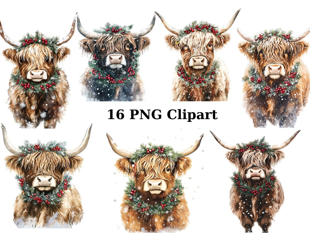 16 Christmas Highland Cows Watercolor Clipart, Christmas Clipart, PNG ...