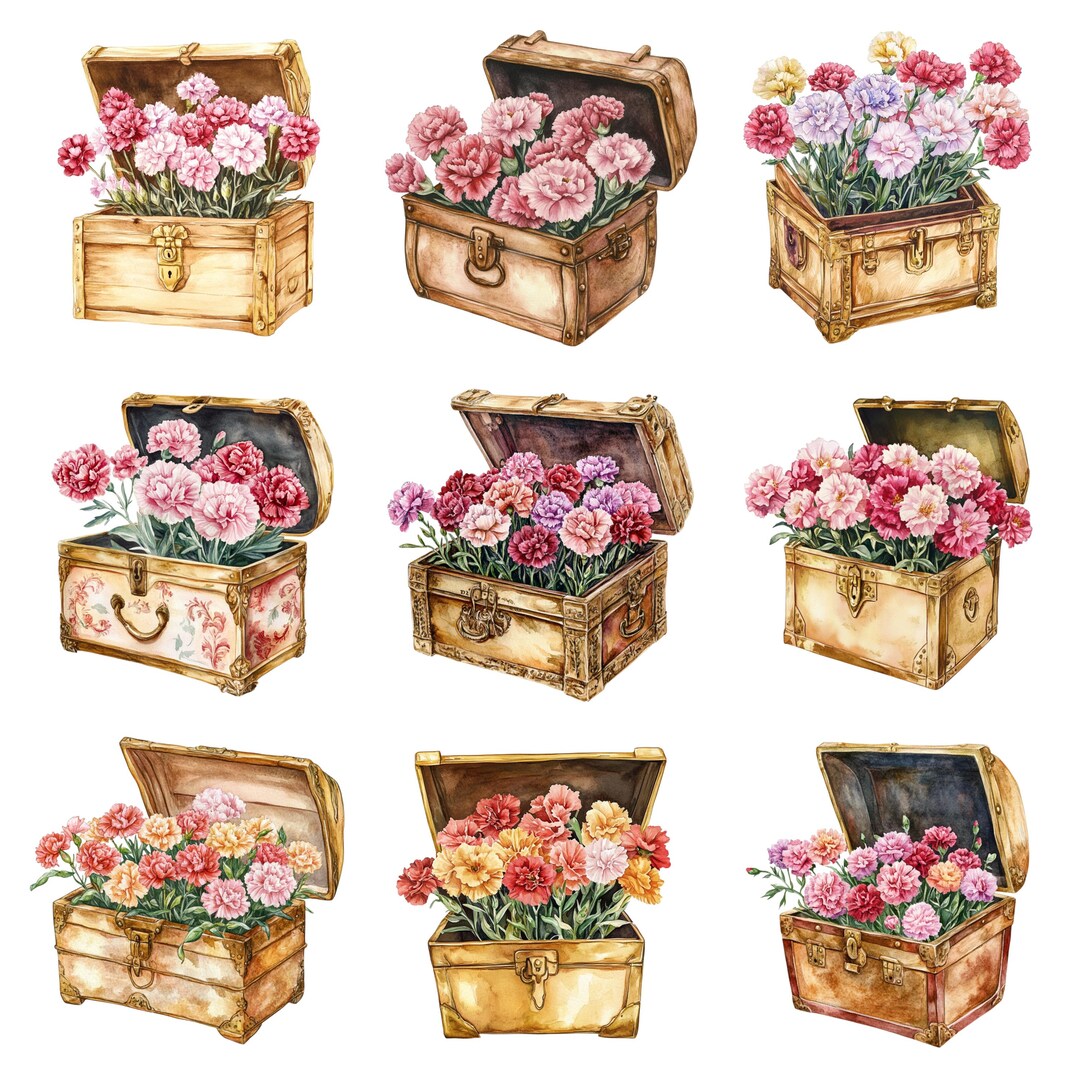 27 Carnations in Chest Watercolor Clipart, PNG Digital Files on ...