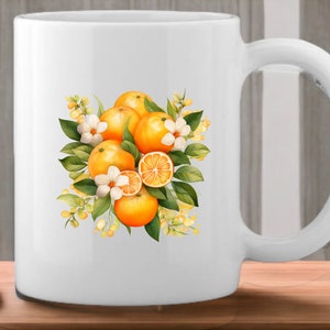 Watercolor Oranges Clipart, PNG Digital Files on Transparent Background ...