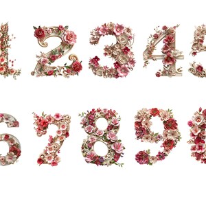 Watercolor Pink and Red Flowers Numbers Clipart, Floral PNG Individual ...