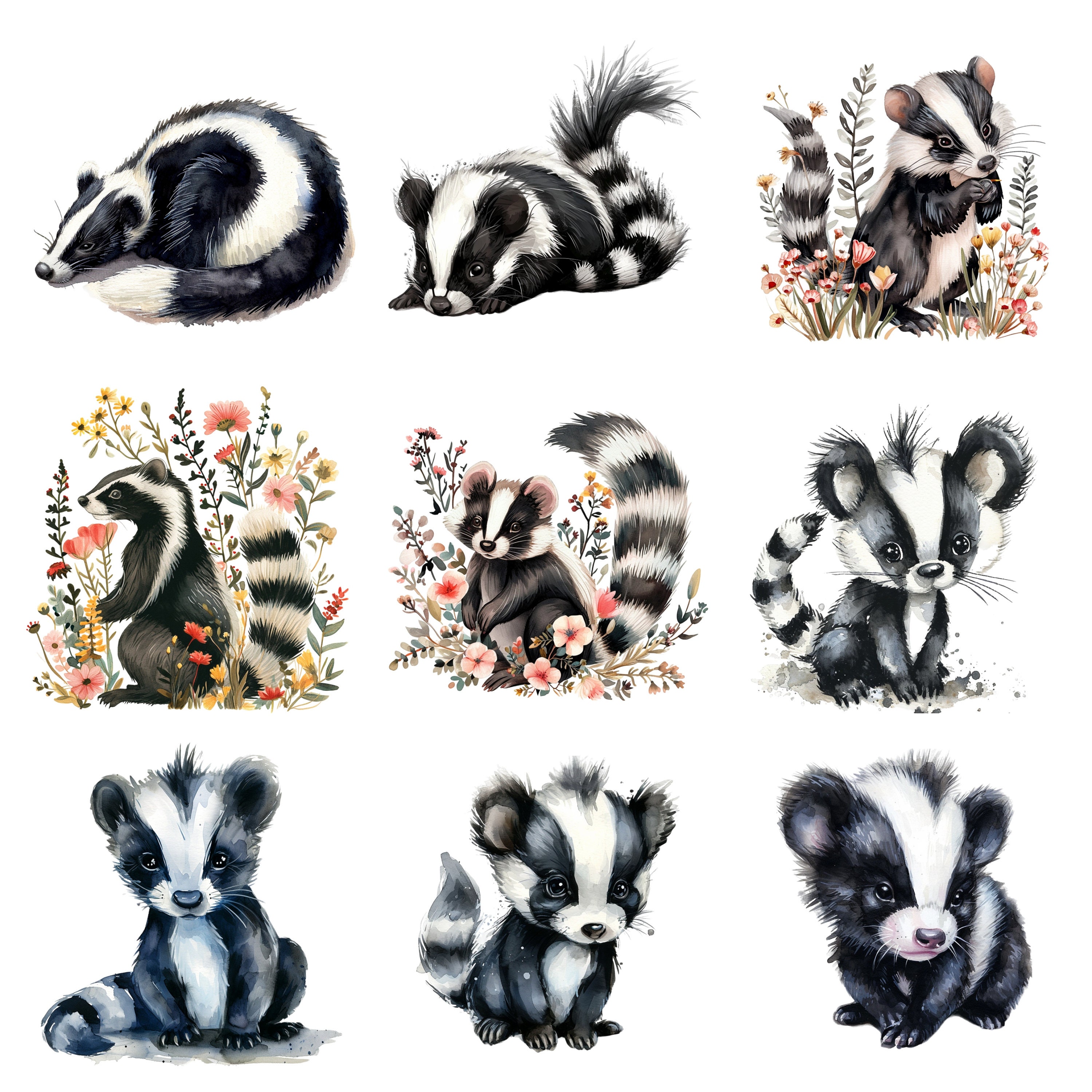 Watercolor Skunks Clipart, PNG Digital Files on Transparent Background ...
