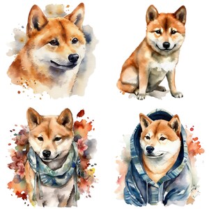 Shiba Inu Dogs, Watercolor, 13 PNG Images, Clipart, Junk Journal, Paper ...