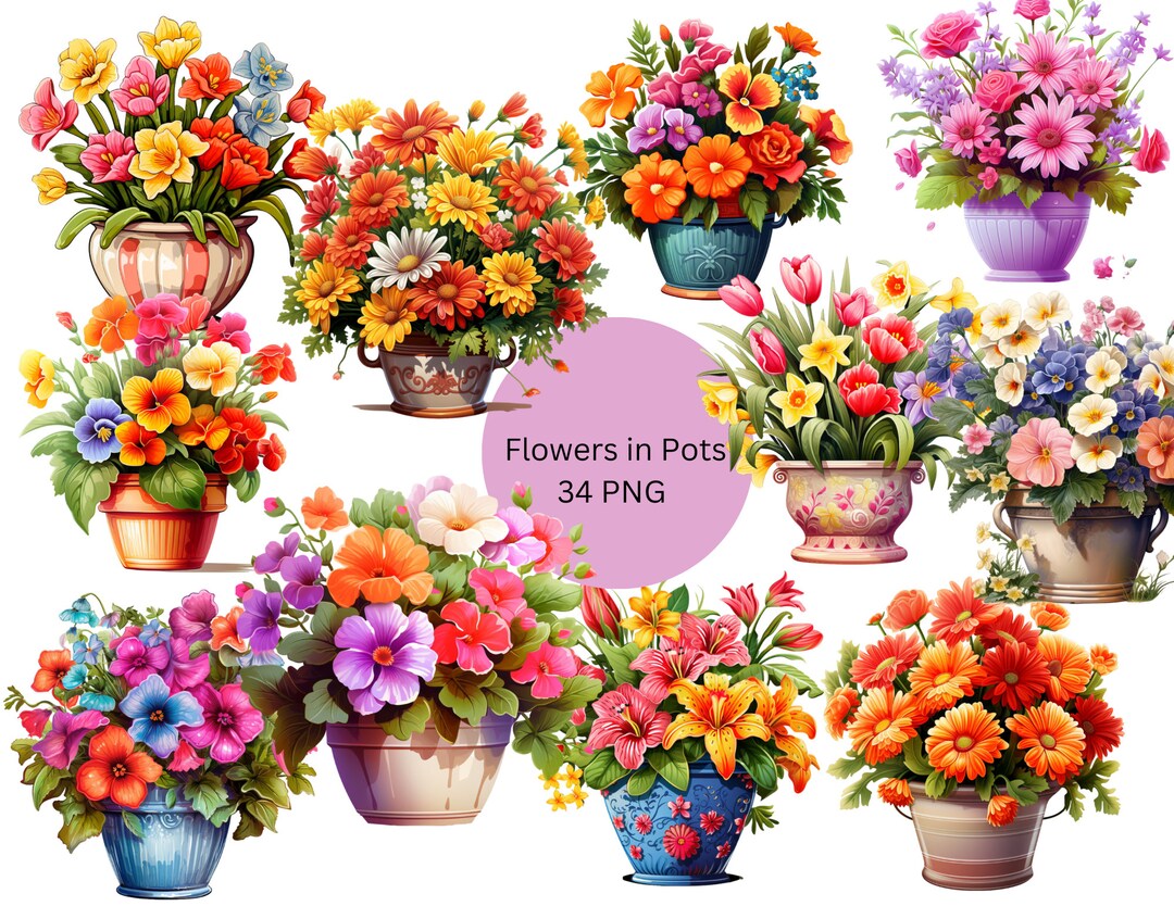 Flowers in Pots Clipart, PNG Digital Files on Transparent Background ...