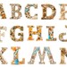 Giraffe Print Alphabet Clipart, Giraffe Letters, Transparent Background ...