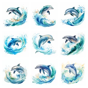 21 Playful Dolphins Watercolor Clipart, Ocean Clipart, PNG Individual ...