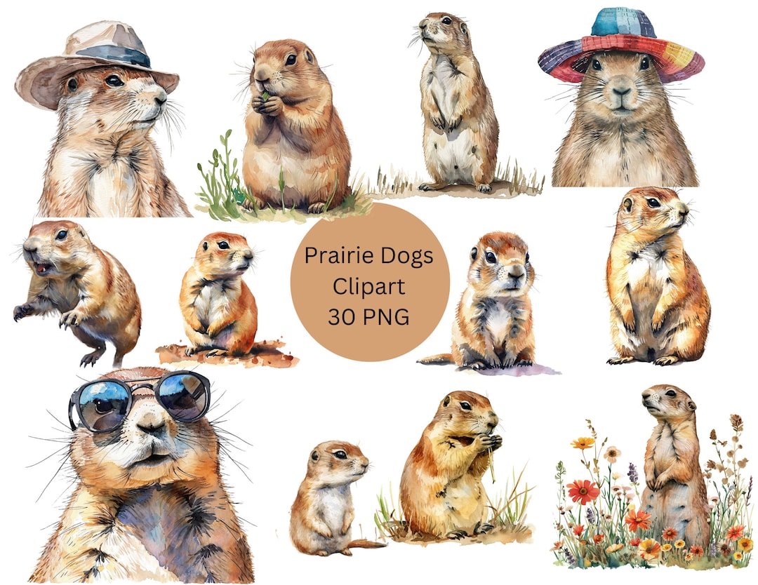 Watercolor Prairie Dogs Clipart, PNG Digital Files on Transparent ...