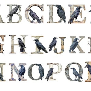 Watercolor Crow Alphabet , Crow Letters, PNG Images, Download for ...
