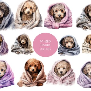 33 Snuggly Poodles Watercolor Clipart, Pets Clipart, PNG Individual ...