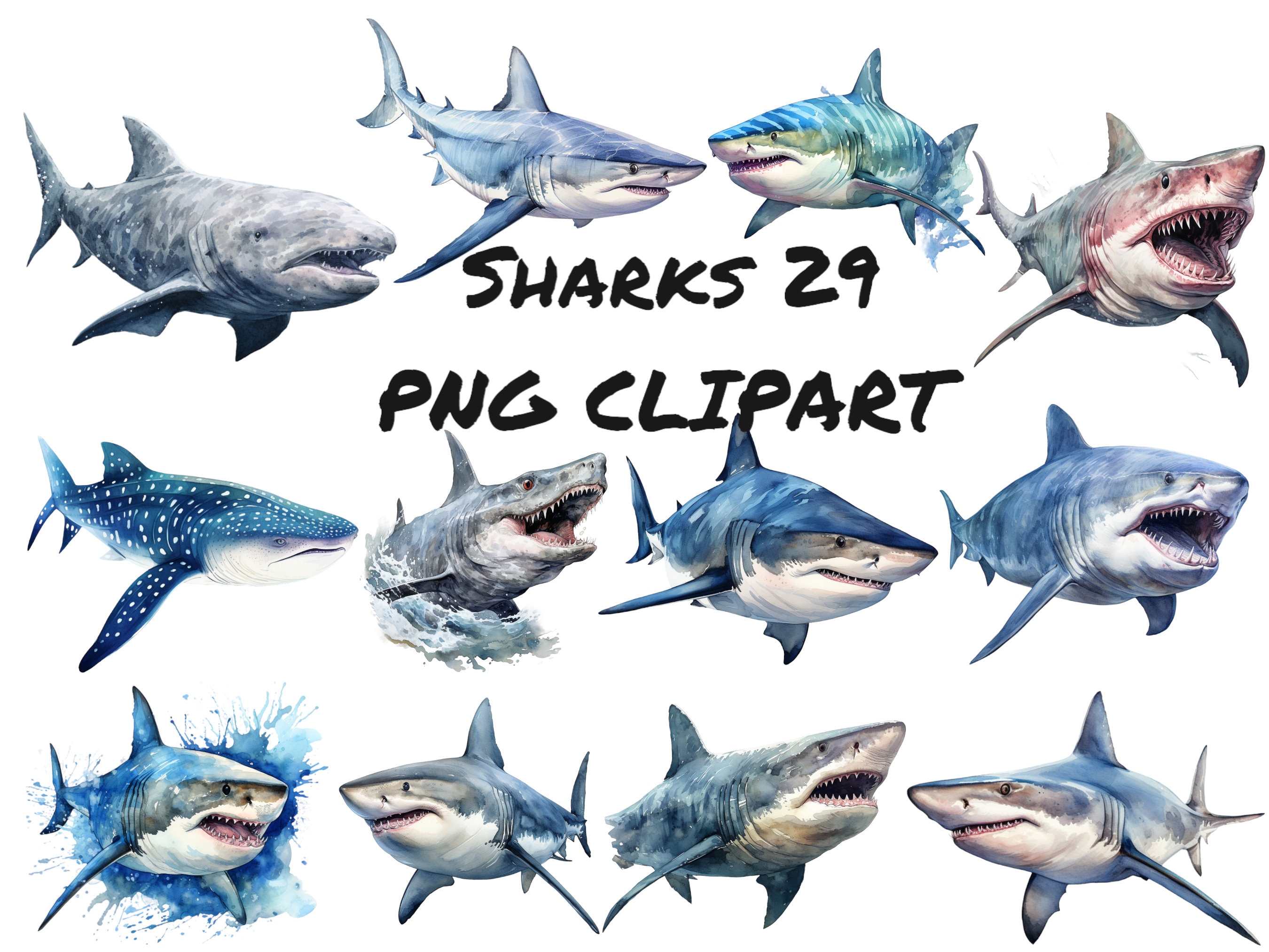 Watercolor Sharks Clipart PNG Digital Files on a Transparent - Etsy