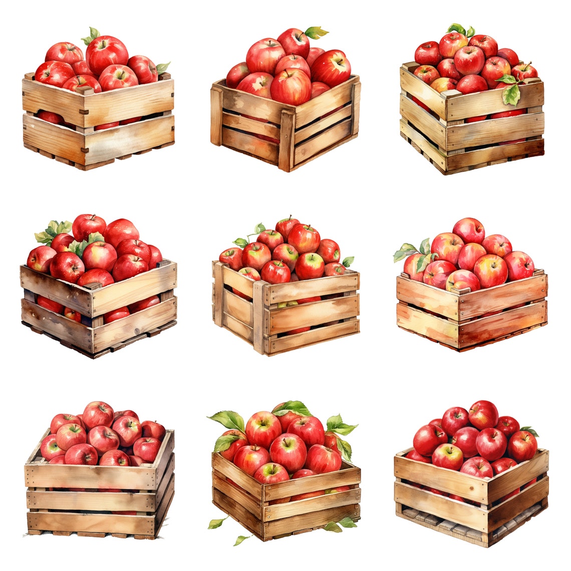 32 Fresh Apples in Wooden Crates Watercolor Clipart, Fruit Clipart, PNG ...