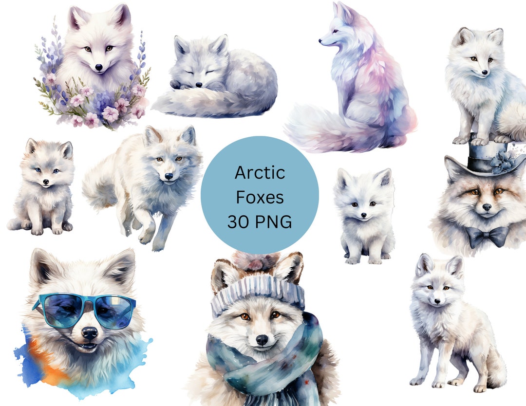 Watercolor Arctic Foxes Clipart, PNG Digital Files on Transparent ...