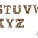 Floral Wood Alphabet, Letters Png, Alphabet Png, Instant Download for ...