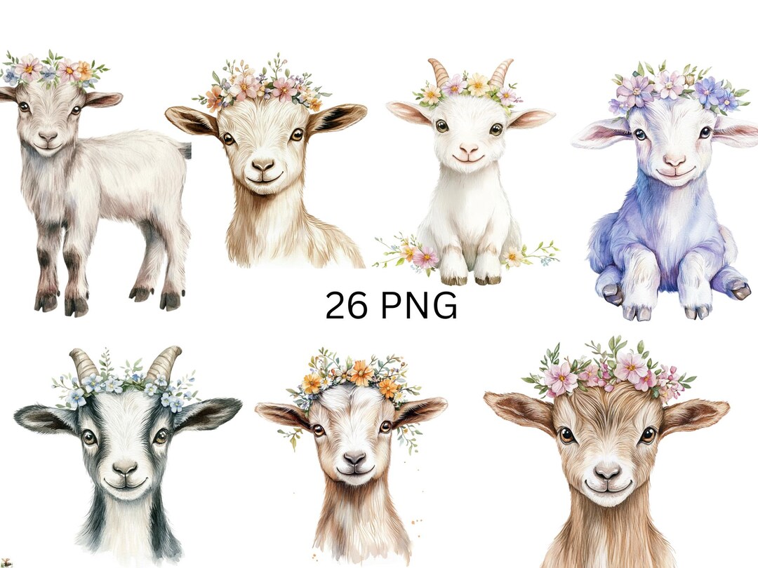 Floral Goat Clipart Collection - 26 Cute Baby Goat PNG Illustrations ...