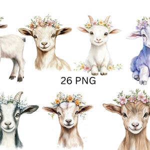 Floral Goat Clipart Collection - 26 Cute Baby Goat PNG Illustrations ...