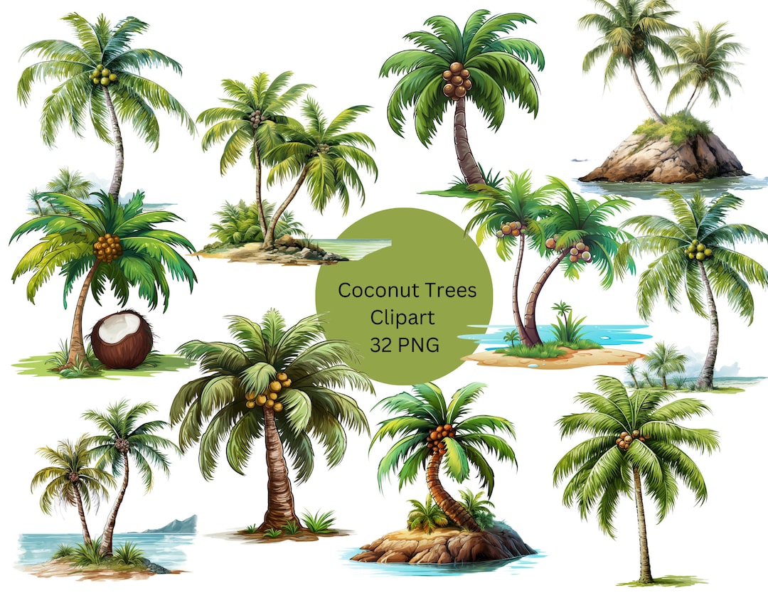 Coconut Tree Clipart, PNG Digital Files on Transparent Background ...