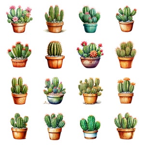 45 Cactus in Pot Watercolor Clipart, Pots Clipart, PNG Digital Files on ...