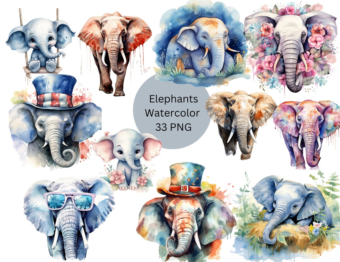 Watercolor Elephants Clipart, PNG Digital Files on Transparent ...