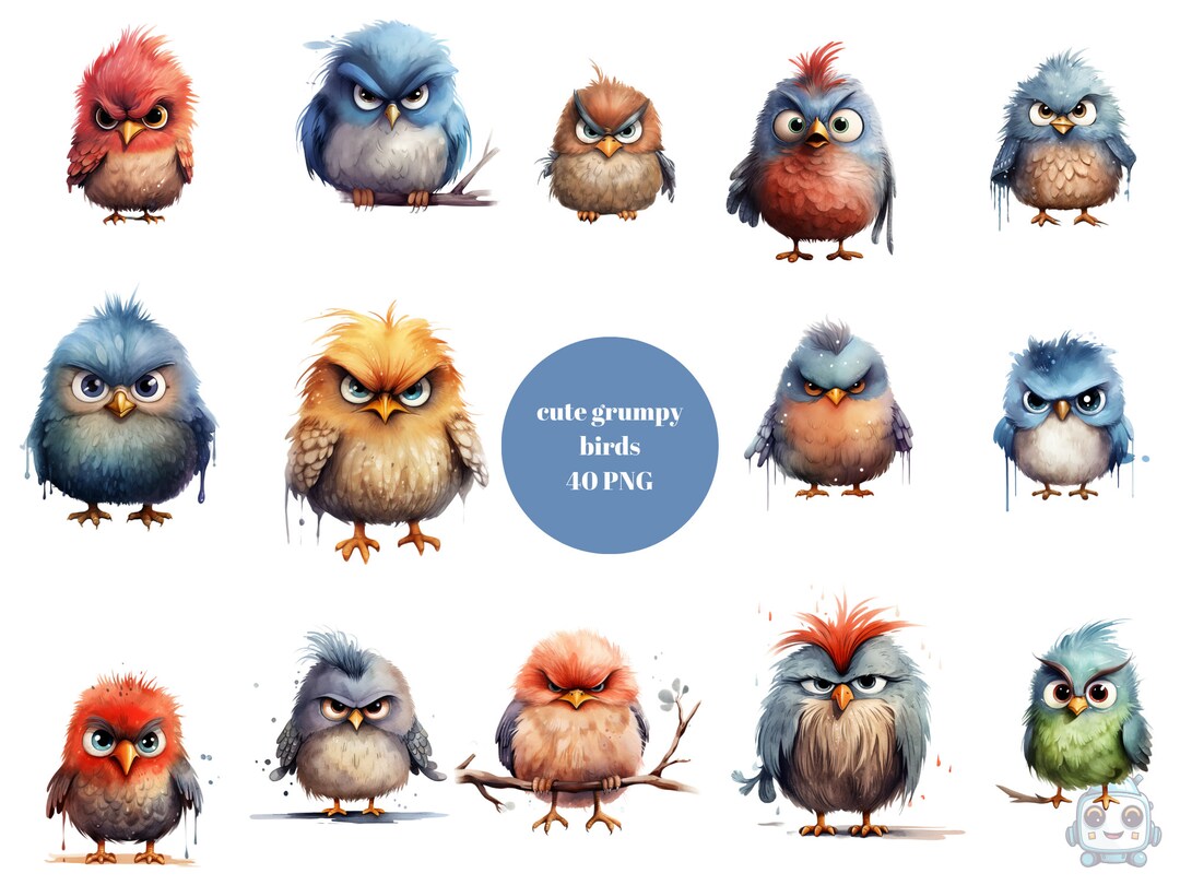 40 Grumpy Birds Watercolor Clipart, Cute Fluffy Birds, PNG Individual ...