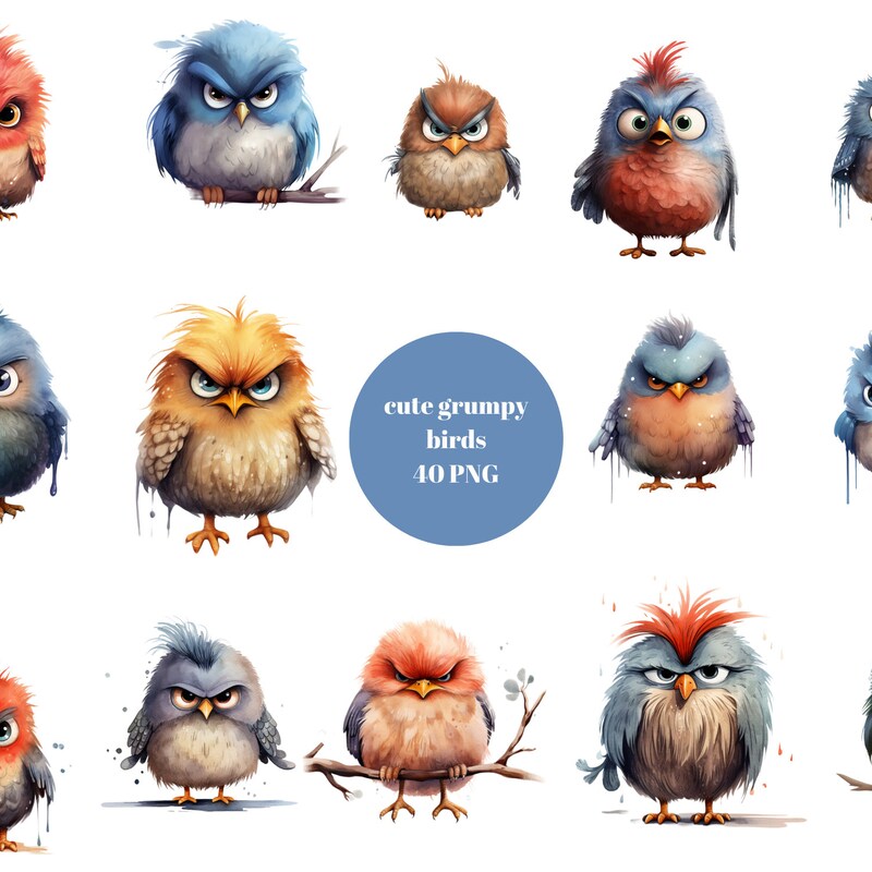 Fluffy Bird - Etsy