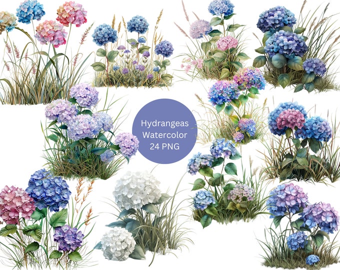Set of 8 Png, Hydrangeas Clipart, Flowers Png, Hydrangeas Bouquet PNG ...