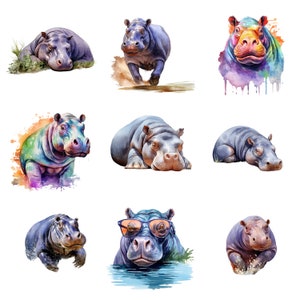 Watercolor Hippopotamus Clipart, PNG Digital Files on Transparent ...