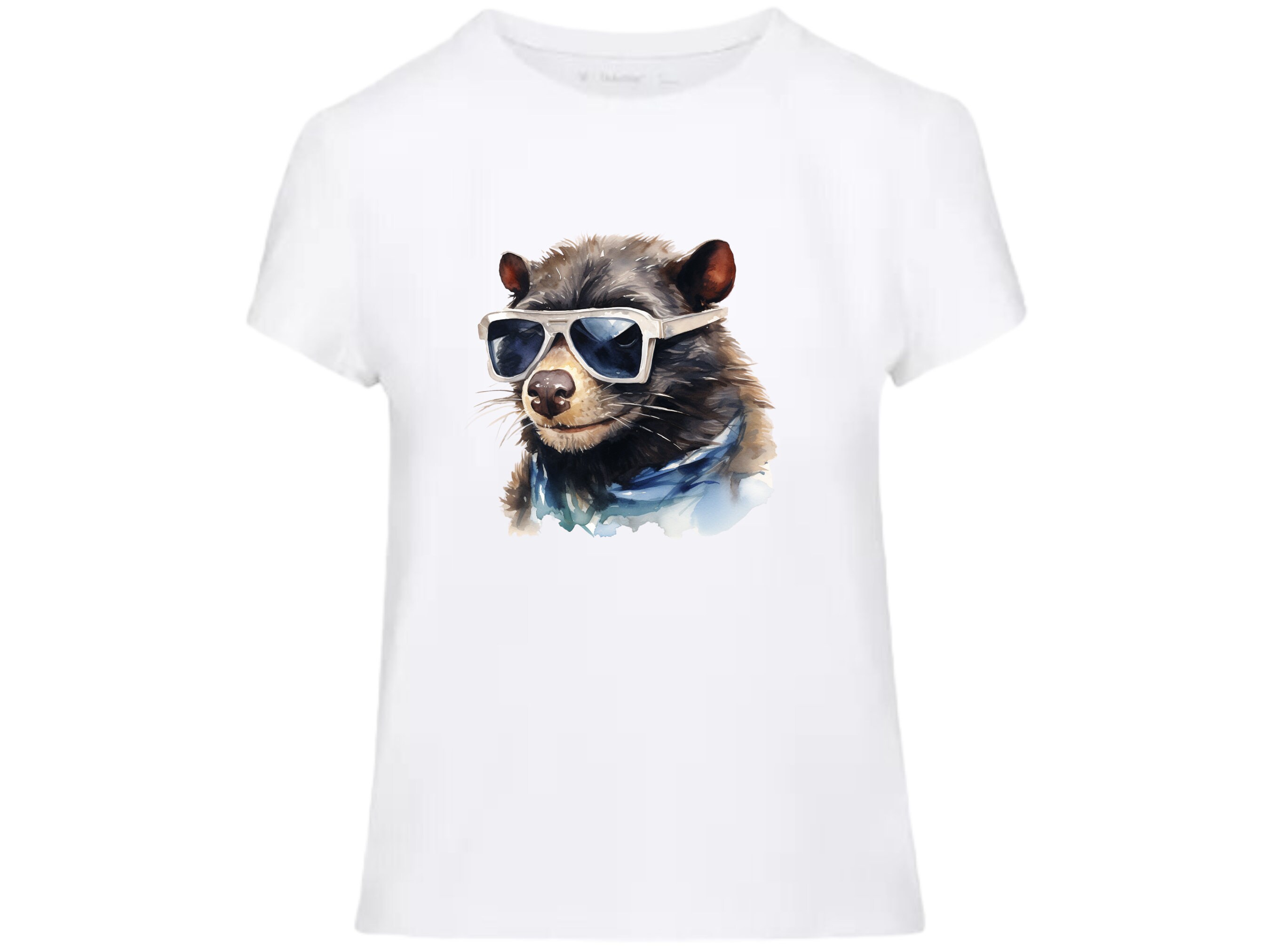 Watercolor Tasmanian Devil Clipart, PNG Digital Files on a Transparent ...