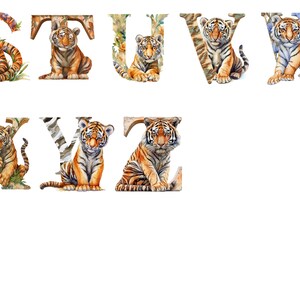 Watercolor Tiger Alphabet Clipart, PNG Individual Images on Transparent ...