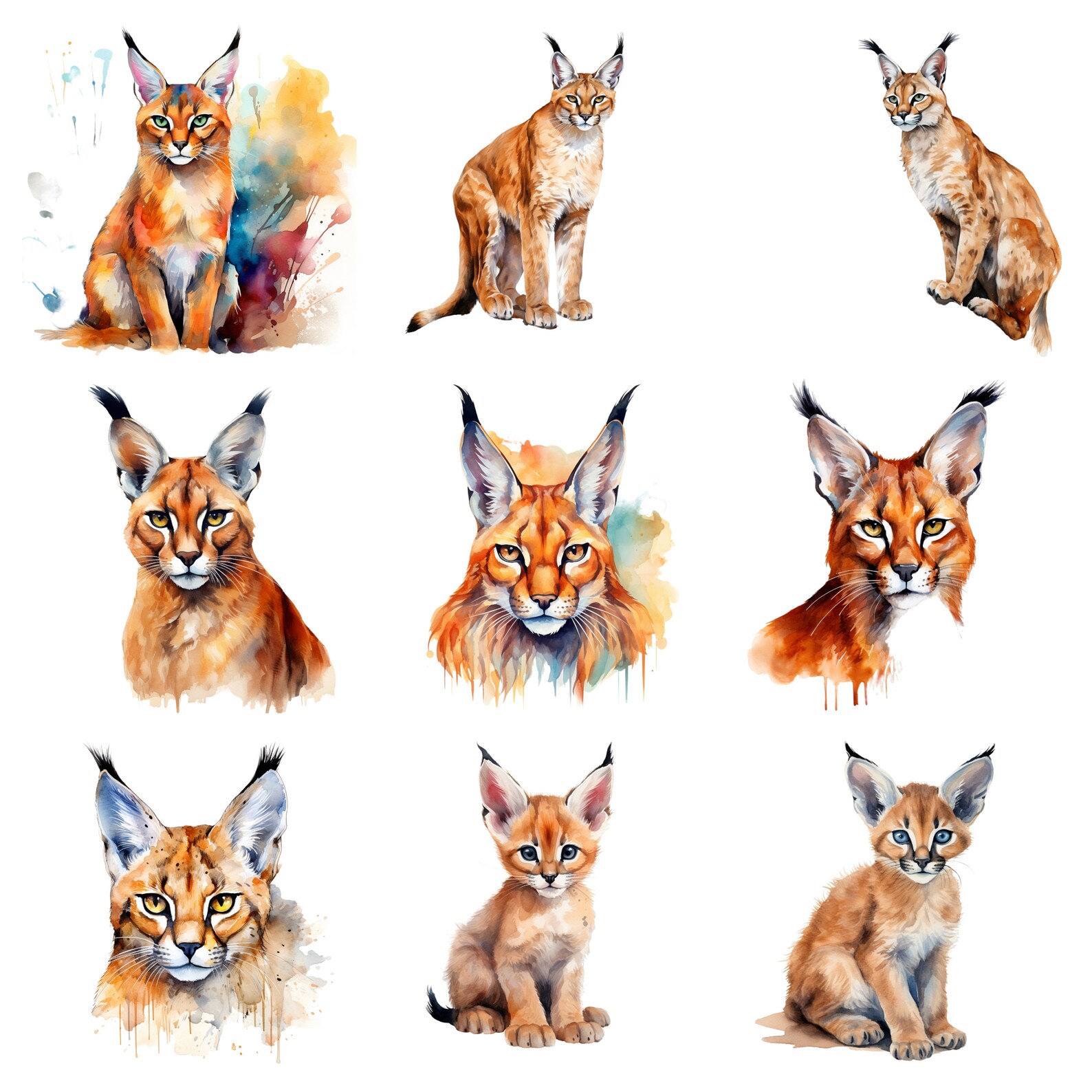 Watercolor Caracals Clipart PNG Digital Files on Transparent - Etsy