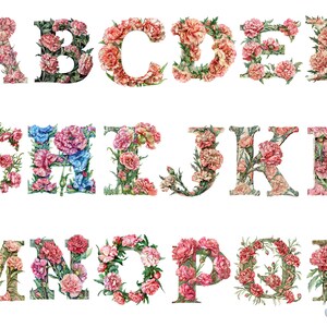 Carnation Flower Alphabet Watercolor Clipart, Floral Clipart, PNG ...