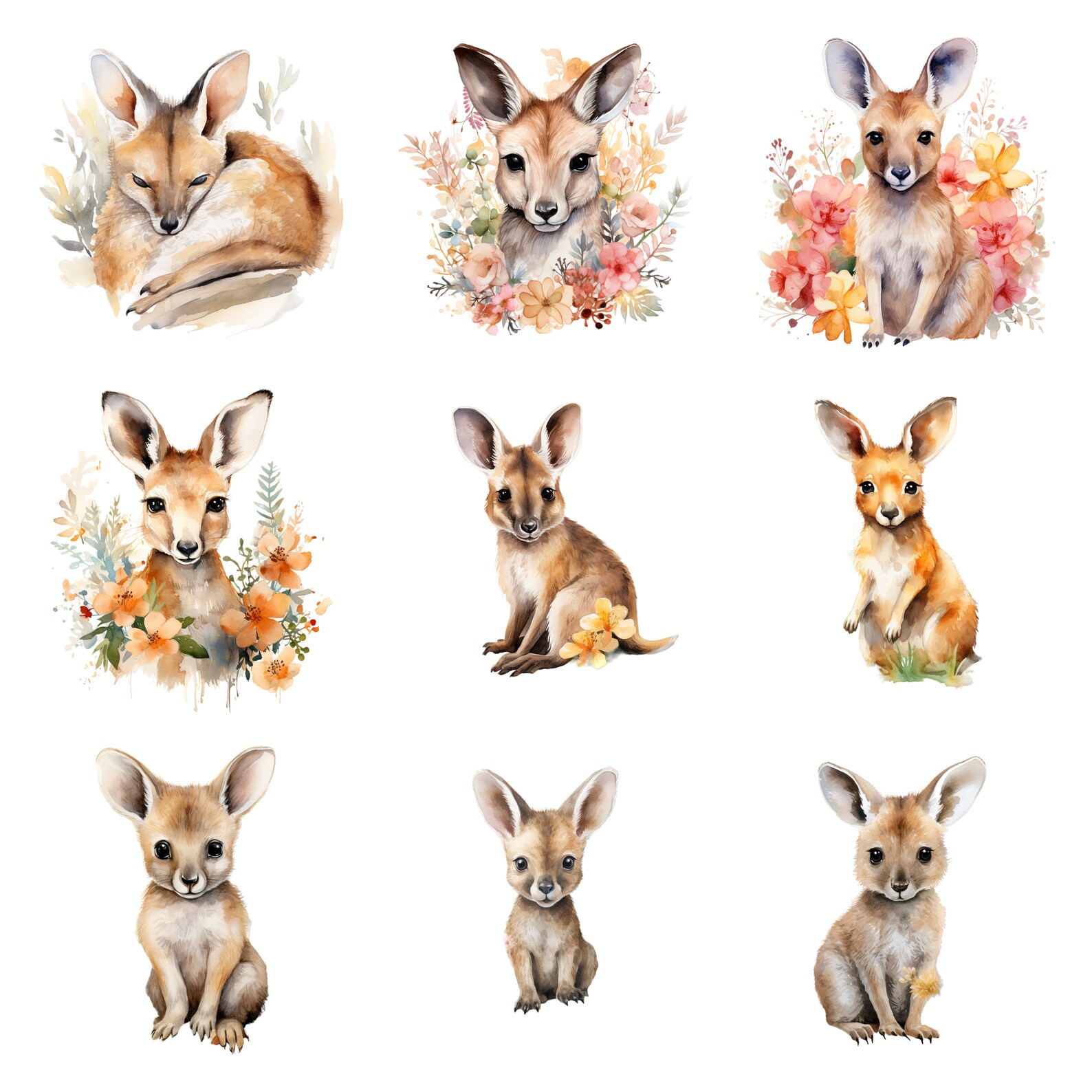 Watercolor Wallabies Clipart, PNG Digital Files on a Transparent ...