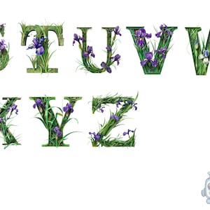 Iris Alphabet, Letters Png, Alphabet Png, Instant Download for ...
