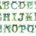 Watercolor Green Bow Alphabet, Bow Letter Instant Download for ...
