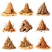 Termites Clipart, PNG Digital Files on Transparent Background ...