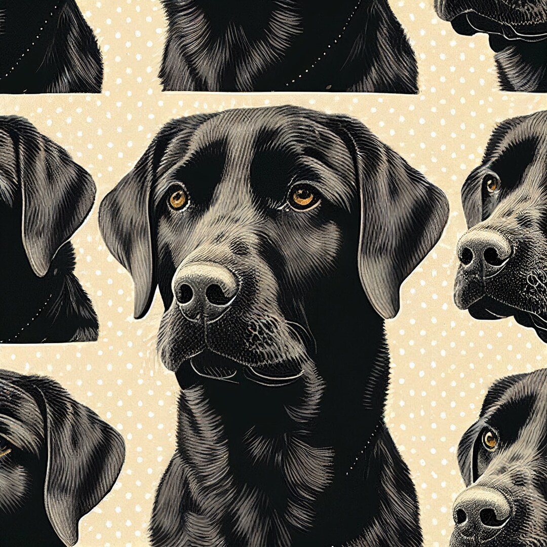 Black Labrador Retriever Poses for a Portrait Repeatable Pattern ...