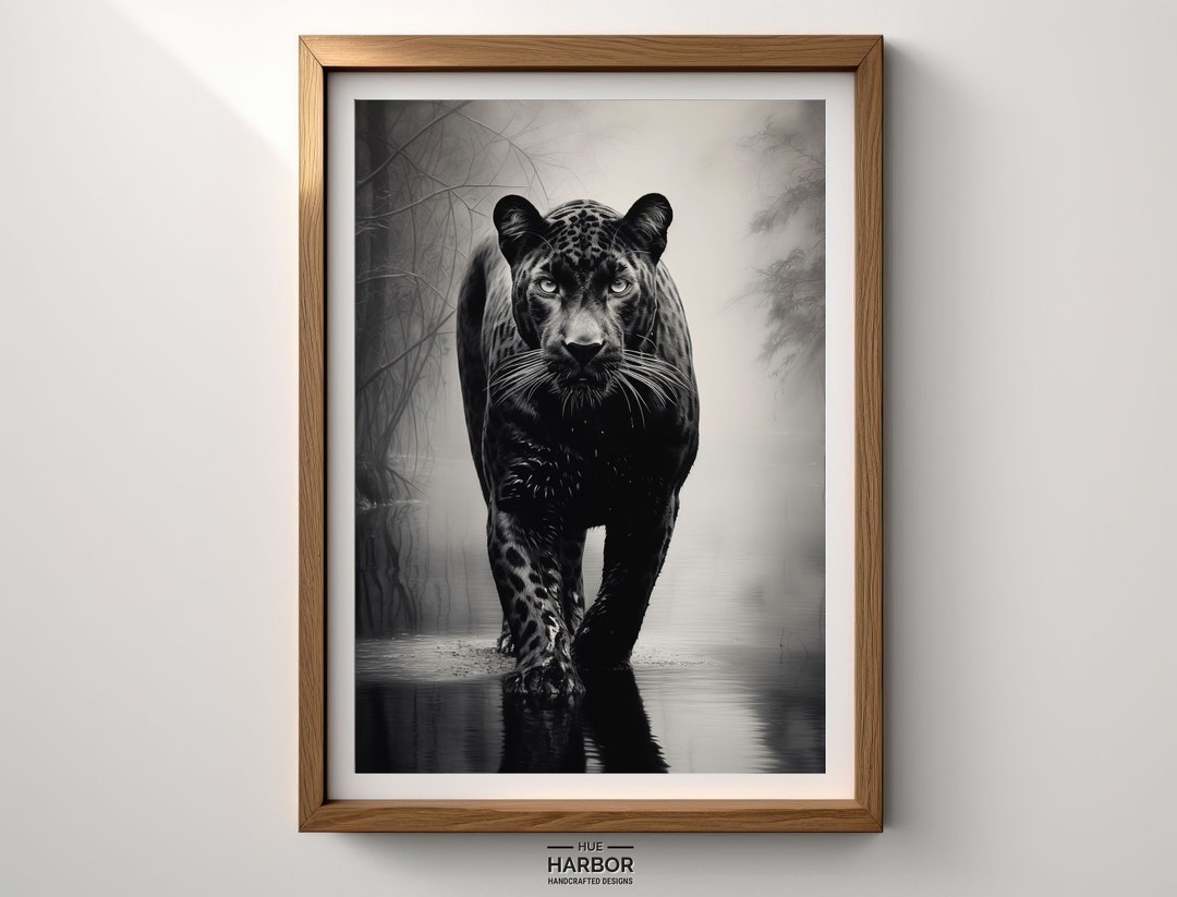 Stunning Photography Panther Digital Image in High Resolution Quality ...