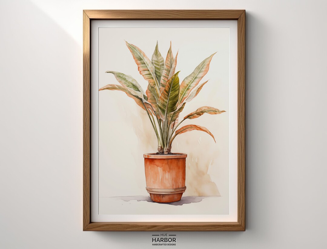 Watercolor Painting Arrow Leaf Houseplant Digital Art in High ...