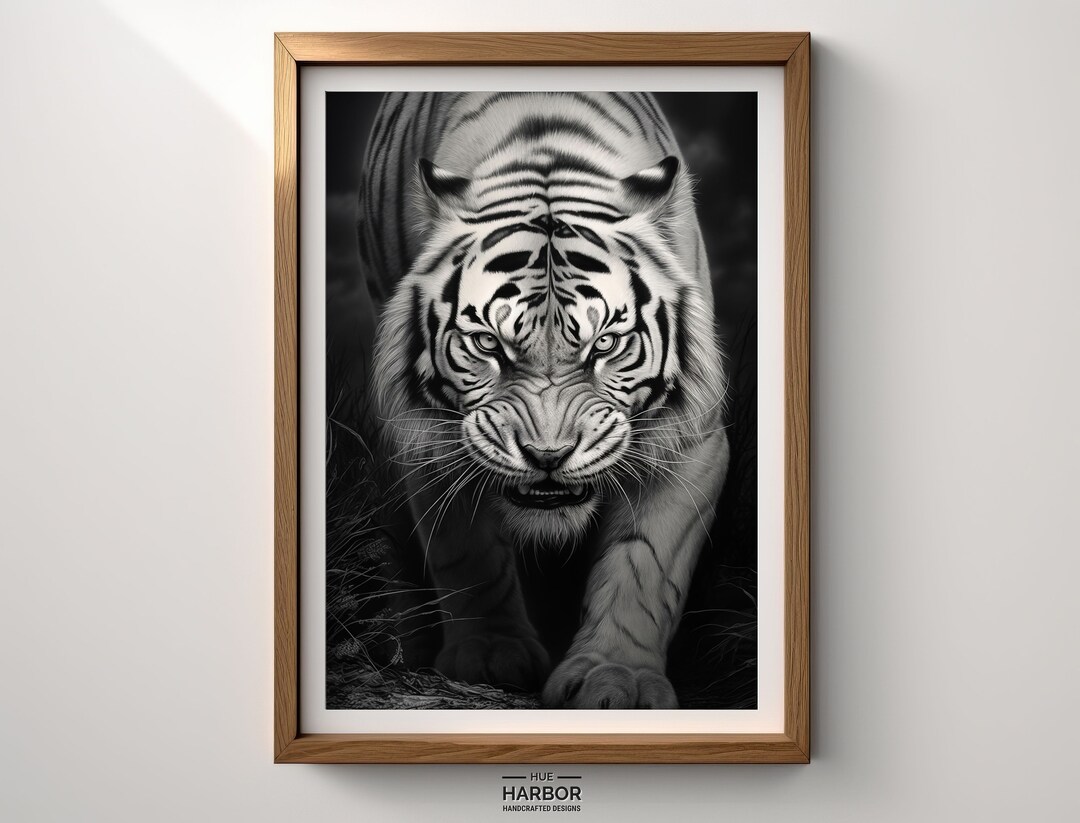 Stunning Photography Tiger Digital Image in High Resolution Quality ...