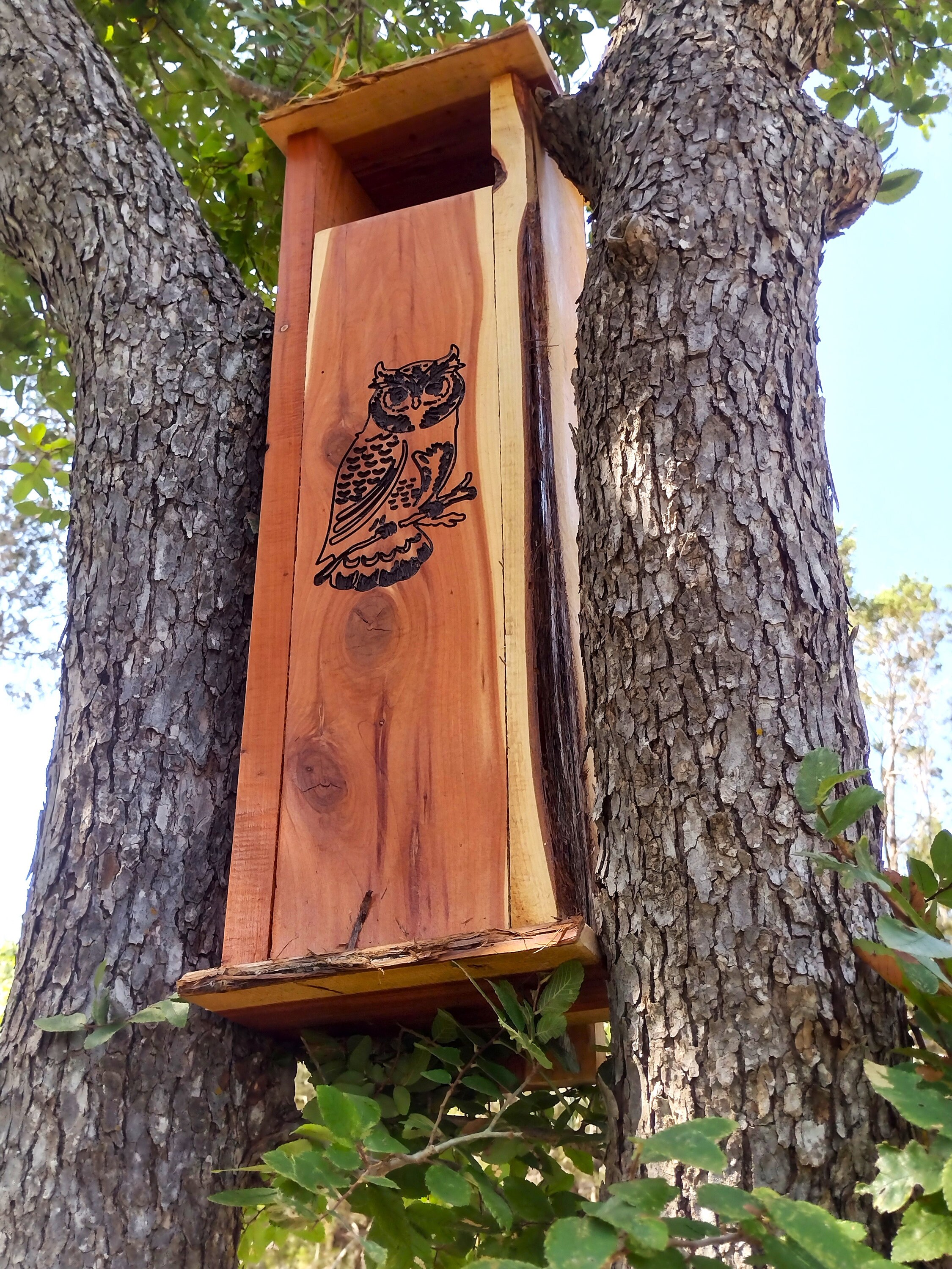 Screech Owl Nest Box, Live Edge Cedar Wood, Owl Art, Handmade - Etsy