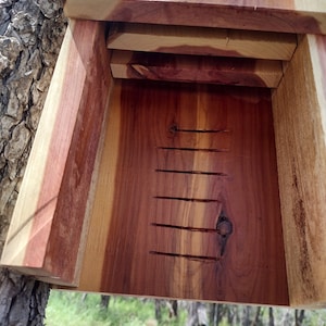 Bat House, Mexican Freetail Bat House, Cedar Wood Bat House, Bat Box ...