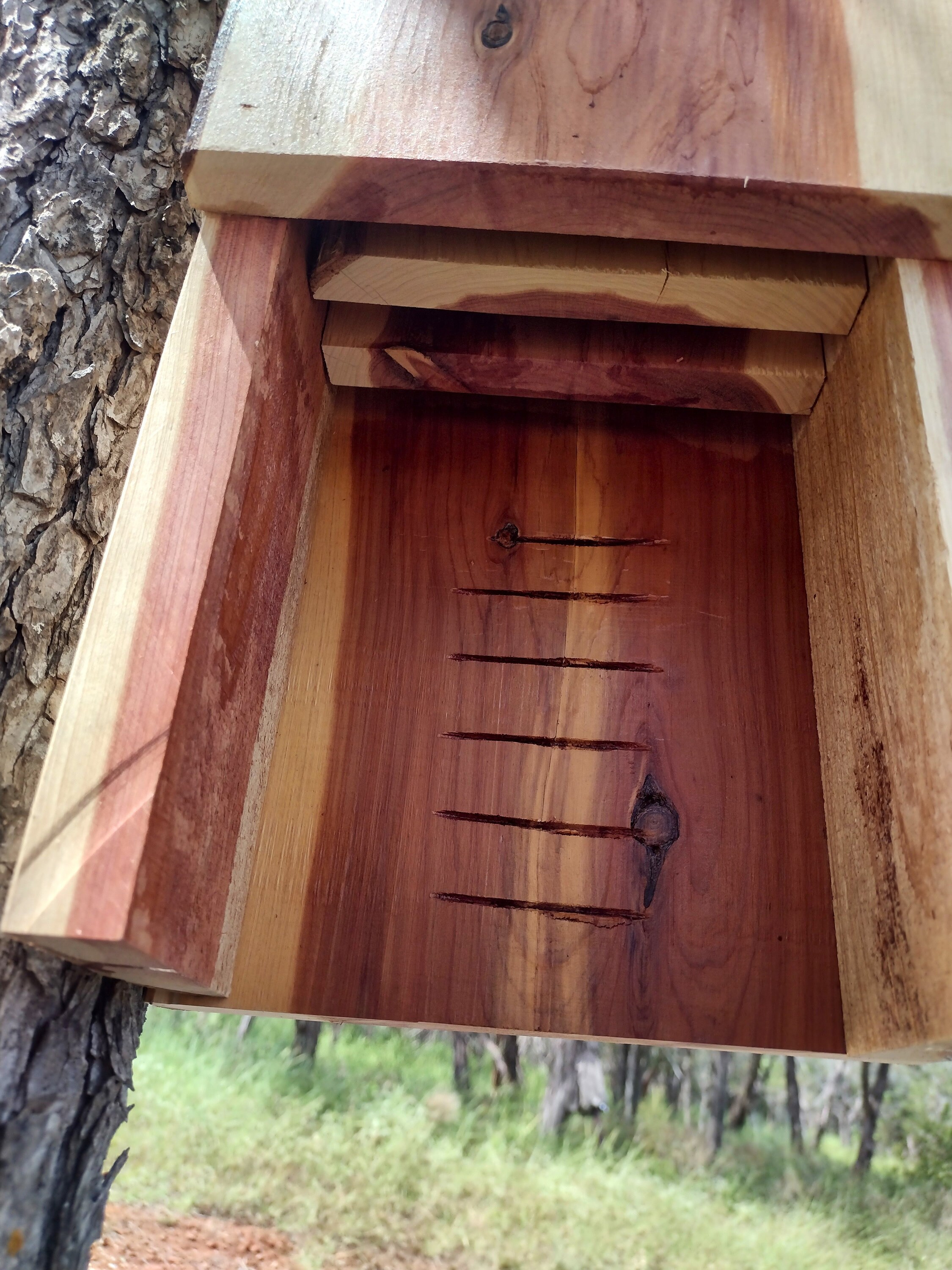 Bat House, Mexican Freetail Bat House, Cedar Wood Bat House, Bat Box ...