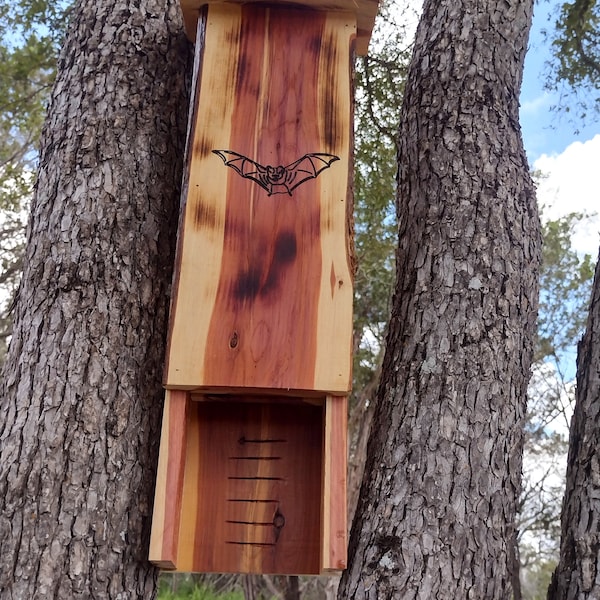 Bat House for Outdoors - Etsy