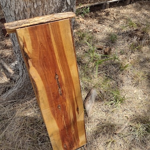 Bat House, Mexican Freetail Bat House, Cedar Wood Bat House, Bat Box ...