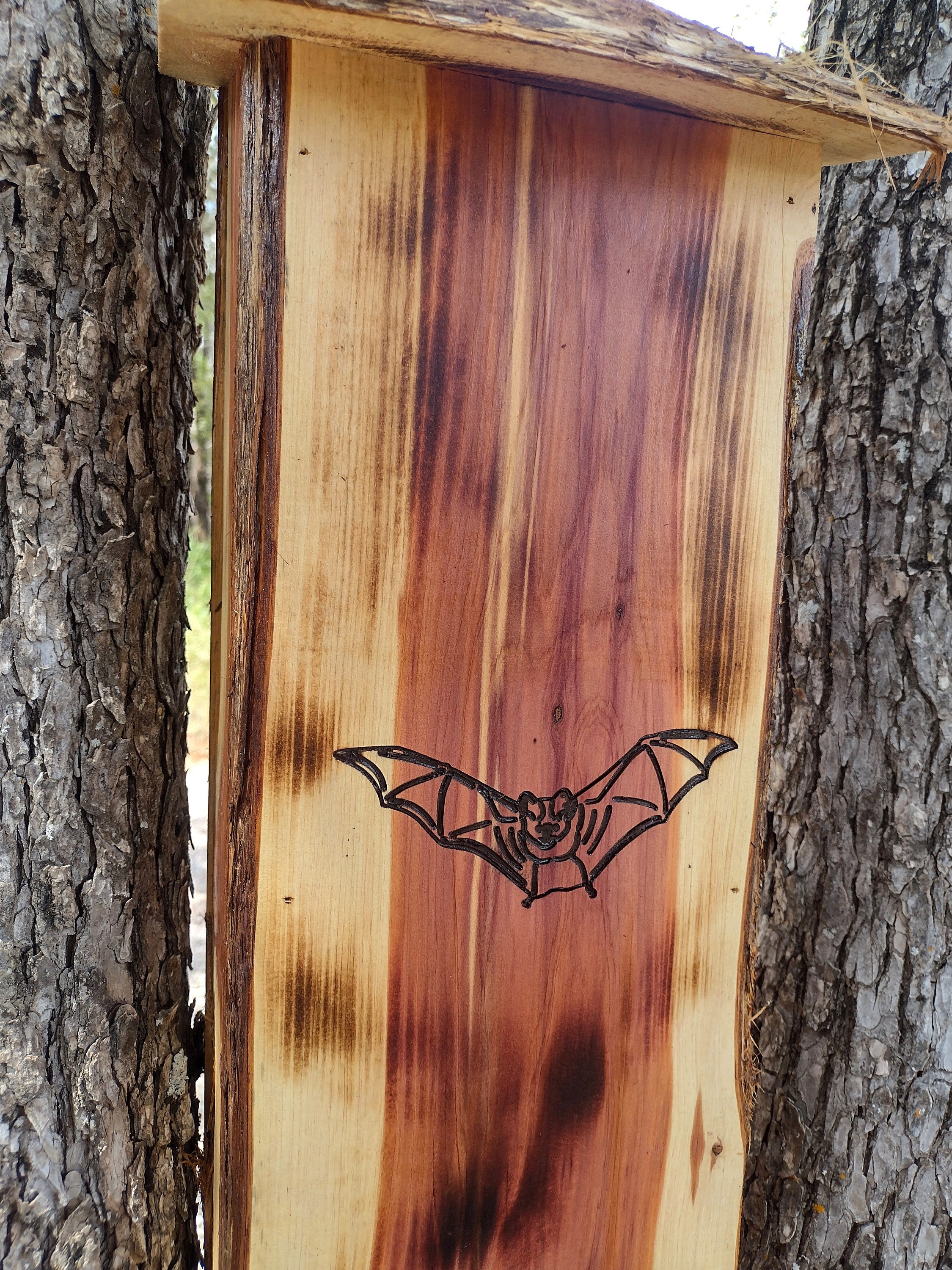Bat House, Mexican Freetail Bat House, Cedar Wood Bat House, Bat Box ...