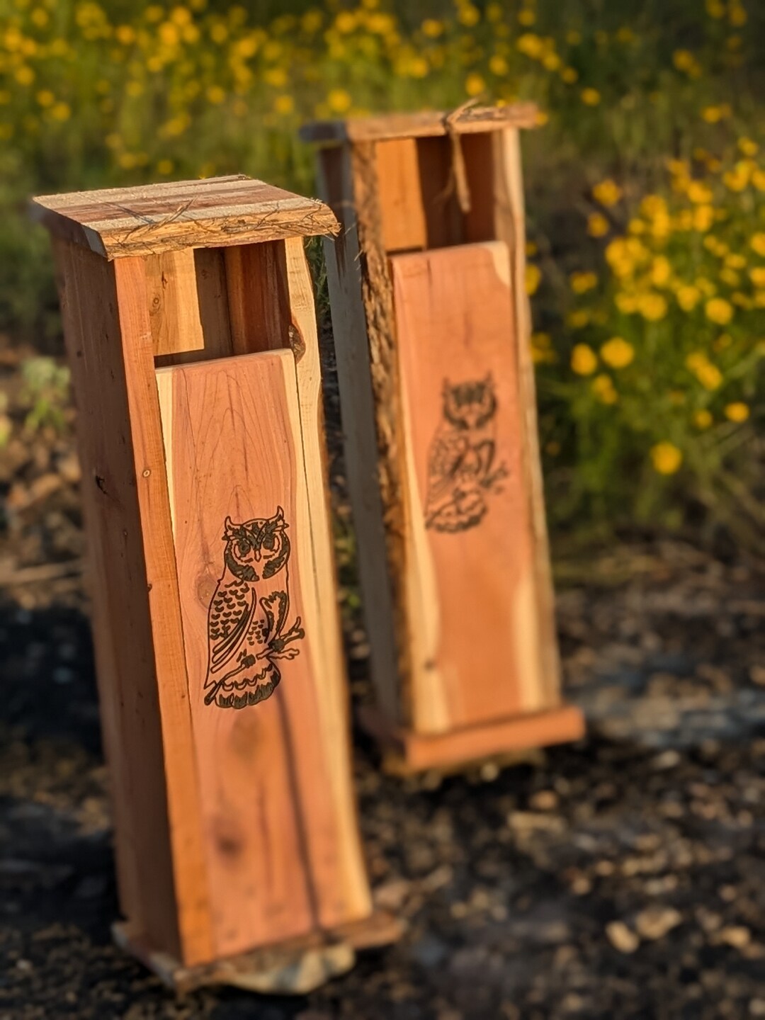 Screech Owl Nest Box, Live Edge Cedar Wood, Owl Art, Handmade - Etsy