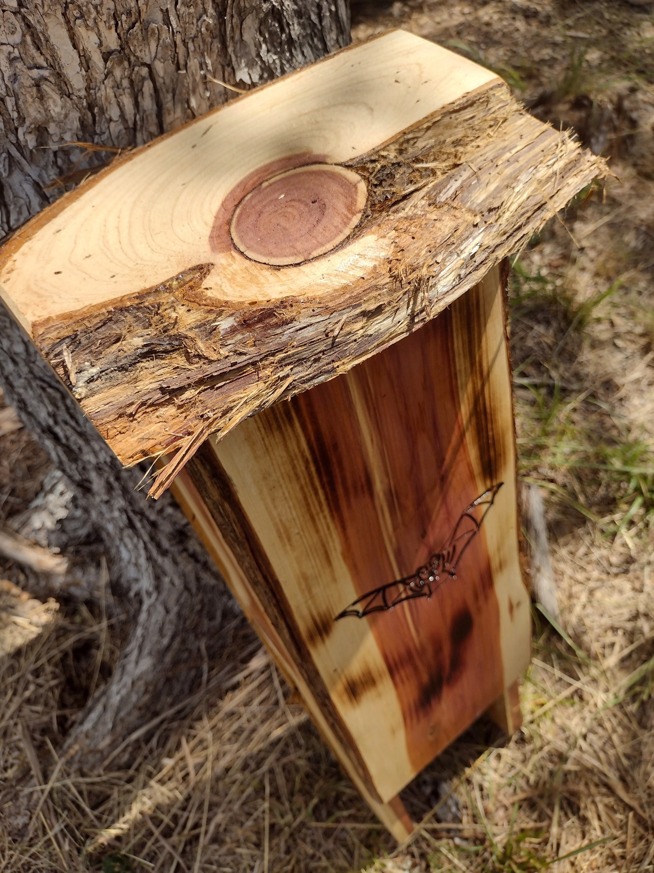 Bat House, Mexican Freetail Bat House, Cedar Wood Bat House, Bat Box ...