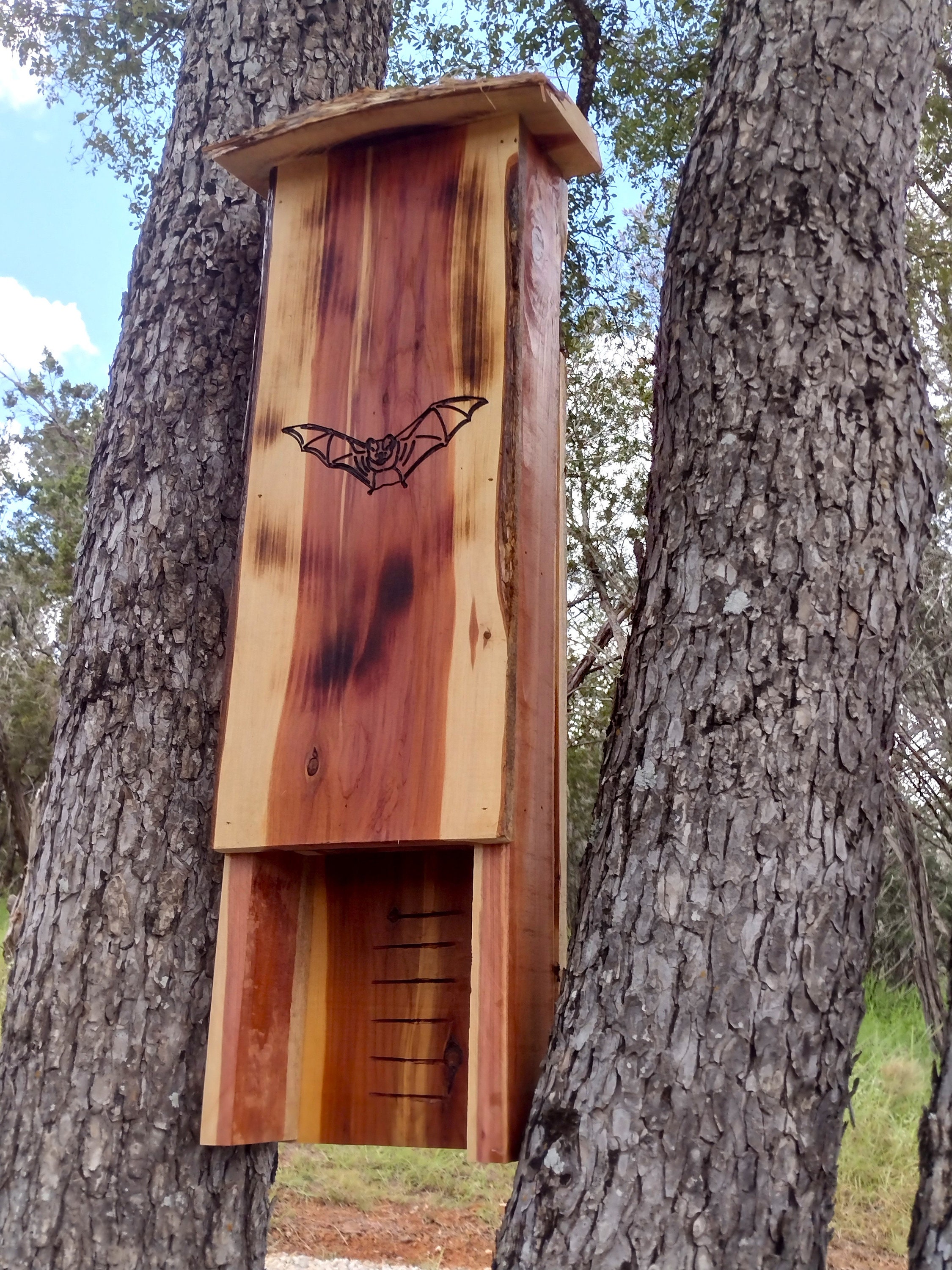 Bat House, Mexican Freetail Bat House, Cedar Wood Bat House, Bat Box ...