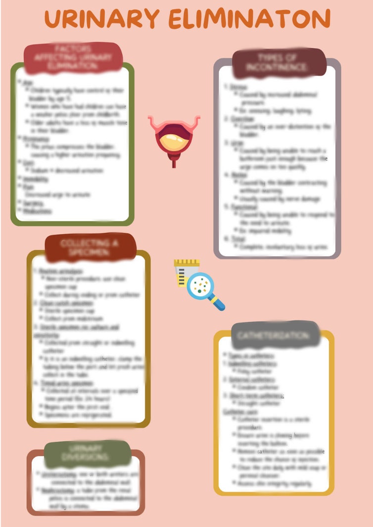 Nursing Fundamentals Digital Nursing Study Nurse Study File Instant ...