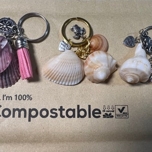 Seashell Keychains With a Cause - Etsy